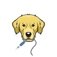 Studer 900 Two Channel Preamp and Equalizer Made | Reverb Deutschland