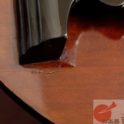 薩摩琵琶 片桑漆塗金蒔絵/四絃 Japanese String Instrument 薩摩琵琶 片桑漆塗金蒔絵/四絃 Japanese String Instrument