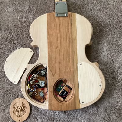 Cryptical Envelopment Carved 2024 Woodruff Custom - DiMarzio, | Reverb