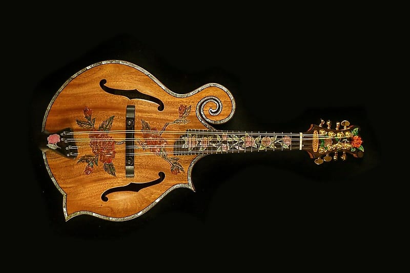 Blueberry Handmade Mandolin Floral Motif Built to Order in | Reverb