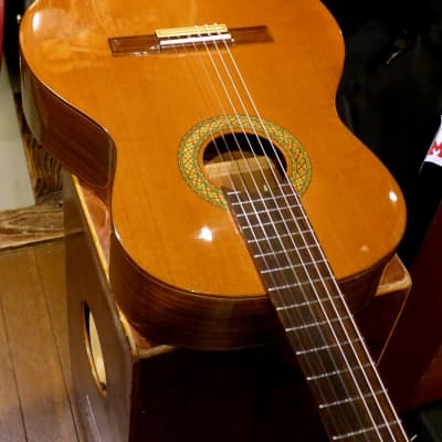 Manuel Rodriguez Model A | Reverb