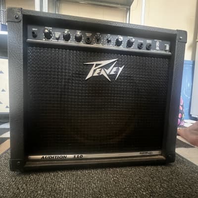 Quantum Terminator 25 1x8 25-Watt Guitar Amplifier 1980s USA | Reverb