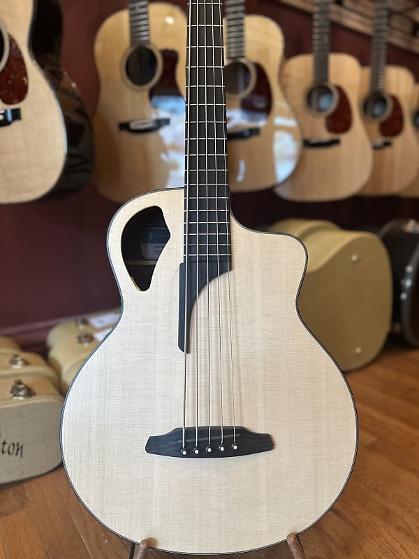 Brand New Furch Acoustic Electric 5 String Bass Bc-62-SW5 | Reverb