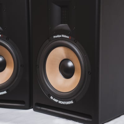 Prodipe Pro Ribbon 8 Bi-Amp Powered Studio Monitors, | Reverb Canada