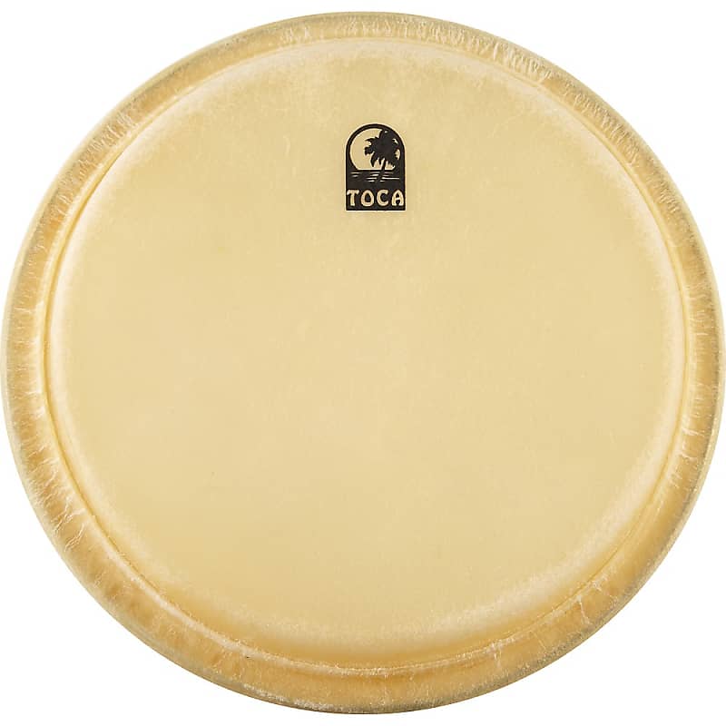 Toca Replacement Conga and Bongo Heads 11 in. | Reverb