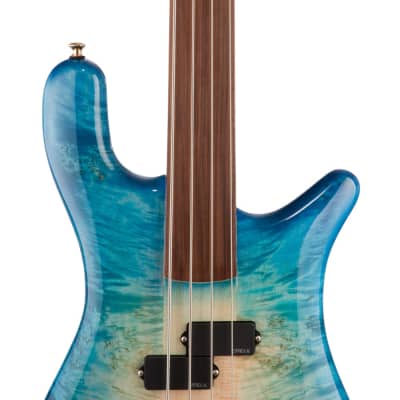 Spector USA Custom NS2 Fretless Bass Guitar - Desert Island - | Reverb