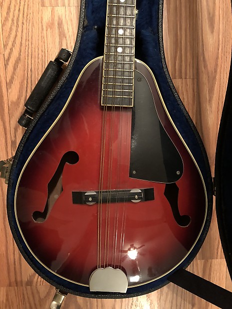 Antares Mandolin | Reverb Canada