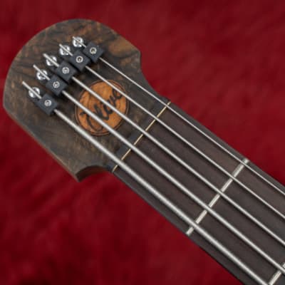 Olive Instruments Double Cut 5 3.96kg【横浜店】【委託品】 | Reverb