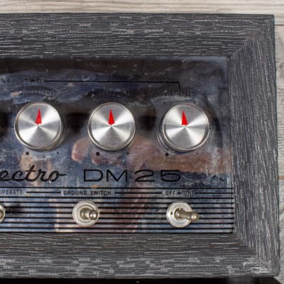 Danelectro DM-25 Amplifier | Reverb