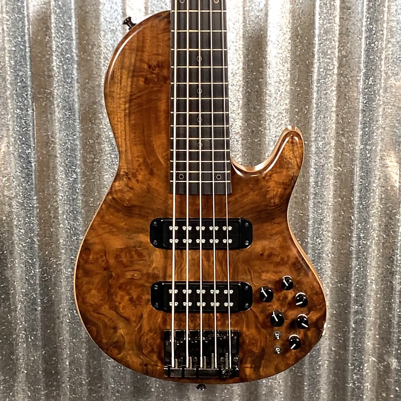 STR Guitars SC5 5 String Single Cut Bass Aguilar OBP-3 & Bag | Reverb