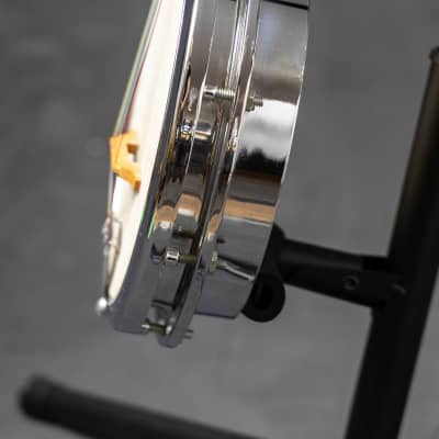 Dixie Banjo Uklulele 1950s | Reverb Canada