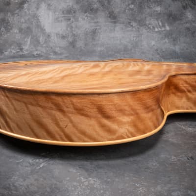 Lavoie Guitars Baryton Archtop (9 strings) | Reverb