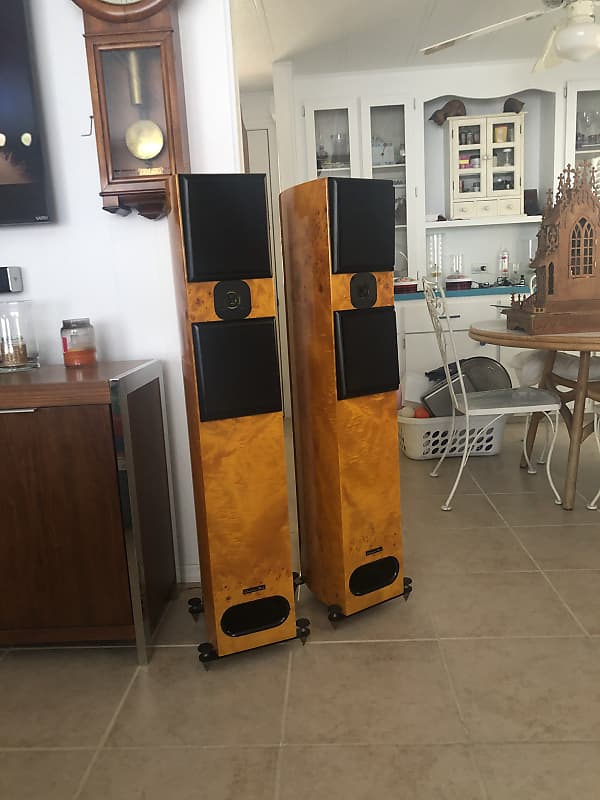 Acoustic Zen Adagio | Reverb