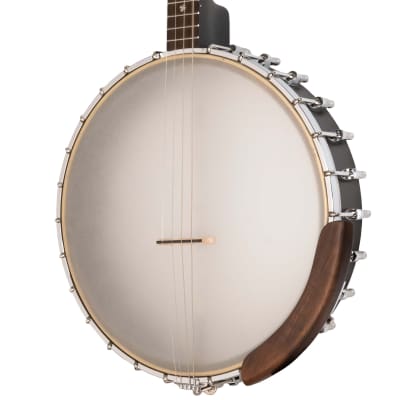 GOLD TONE IT-19 LEFTY Irish Tenor Banjo NEW w/ Bag - 19 Frets | Reverb