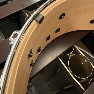 Ludwig Drum Head Edge Protector Clips | Reverb