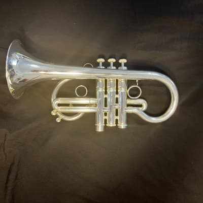 Carol Brass Eb Cornet 2021 - Silver Plate | Reverb