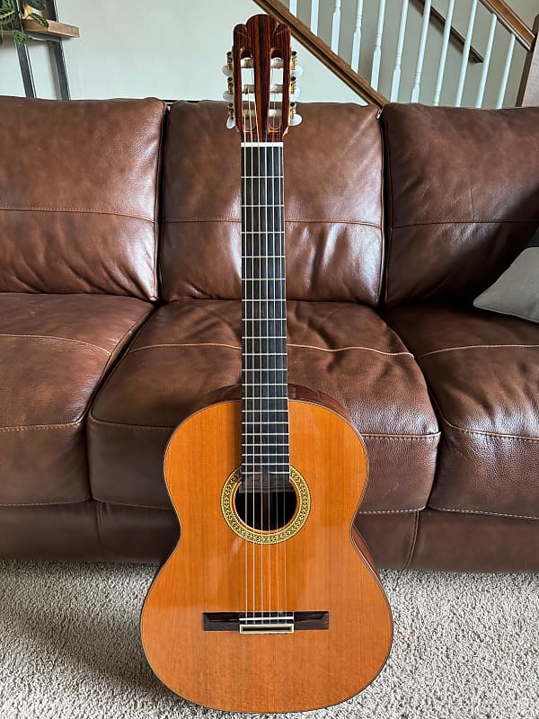 Pavan TP-30 2015 Cedar Top | Reverb