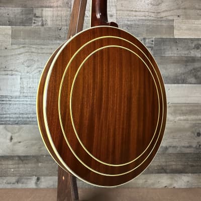 Saga 5-String Closed Back Banjo (1980's) W/OHSC & L.R. Baggs | Reverb