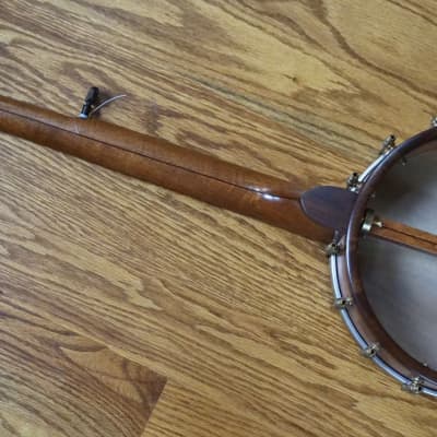 Open Back Banjo, Fretless, Cow Skull Motif | Reverb