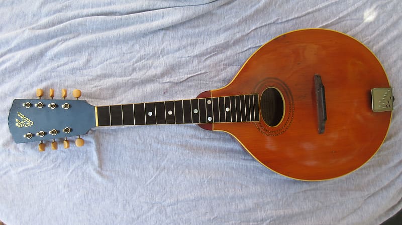 Gibson A1 Mandolin 1914 Pumpkin Top | Reverb