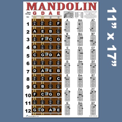 Mandolin Easy Chord Chart & Fretboard Notes Poster 11x17 | Reverb