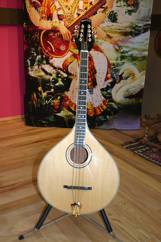 Gold Tone OM-800+ Octave Mandolin blem w/hsc and pup | Reverb