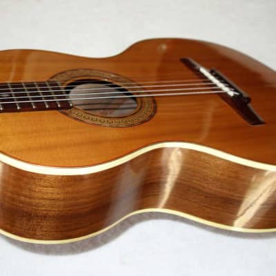 1999 Michael Turko "Tennessee Tornado " Parlor Guitar | Reverb