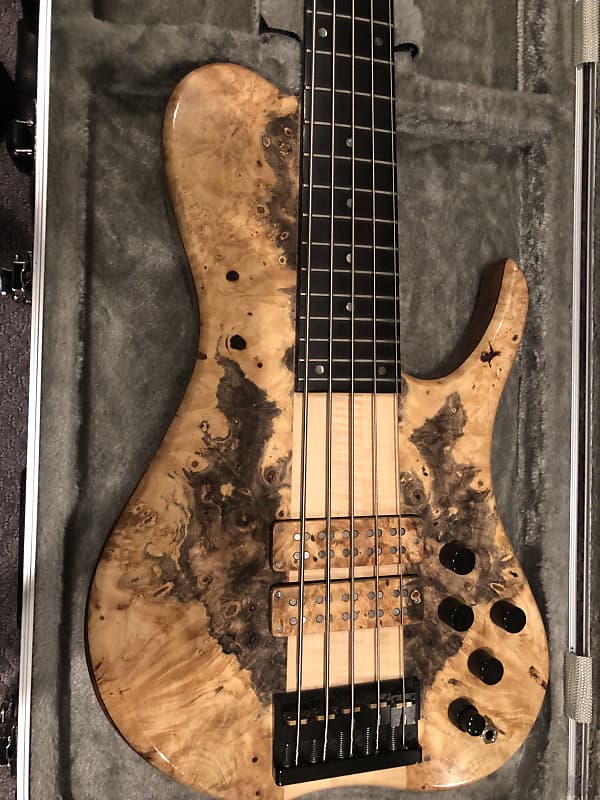 MLP King SC5 Buckeye 5 string bass | Reverb