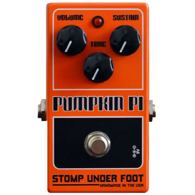 Stomp Under Foot The Pi Guitar Effects Pedal | Reverb