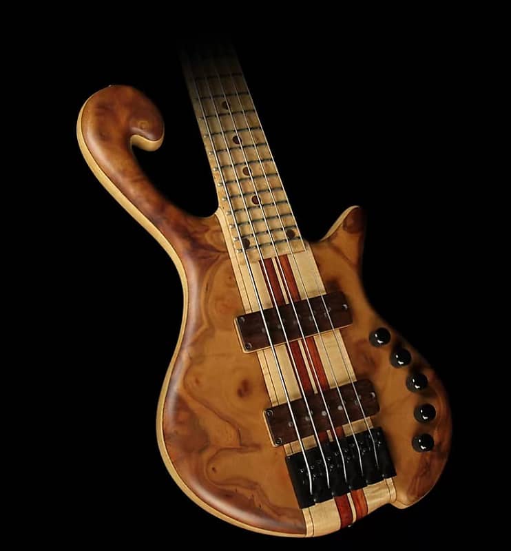 Shawn May Custom Bass DC5S 2017 - Camphor Burl | Reverb