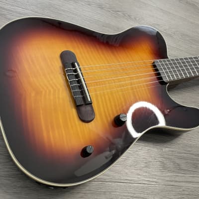 Haze Solid Body Nylon String Electric Guitar, Piezo Pickups & | Reverb