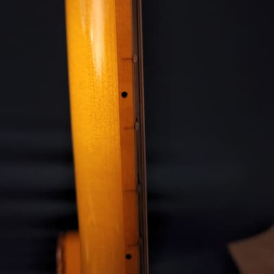 HS Anderson Copy MadCat Telecaster 2021 Vintage Flame | Reverb