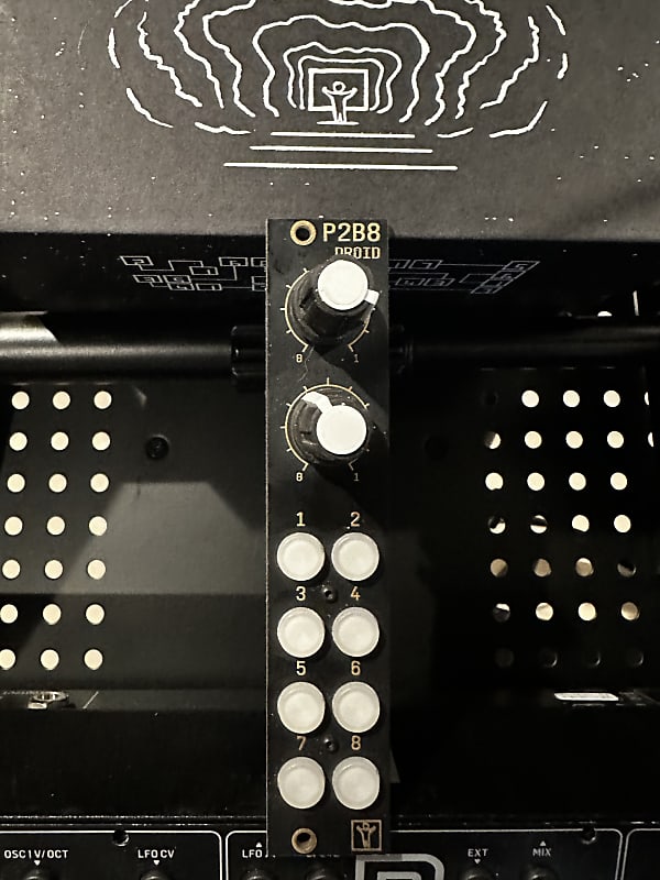 Der Mann Mit Der Maschine P2B8 Button + Expander | Reverb