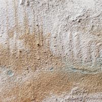 Alesis F2 - Silver and Black | Reverb