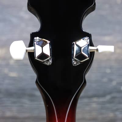 Cort CB-34 Tenor Banjo Bluegrass 4-String Resonator Banjo | Reverb