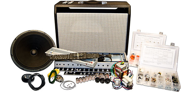 Mojotone Blackface Deluxe Reverb 2015 DIY amp Kit | Reverb