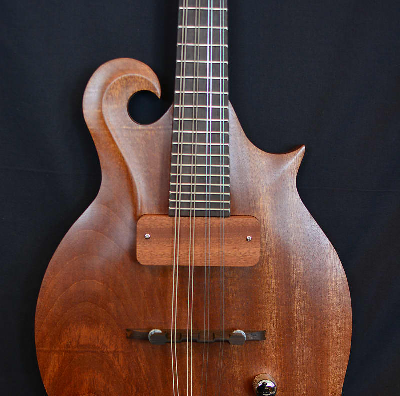 Darkwood USA F Style Electric Mandolin 2023 Natural 8 String | Reverb