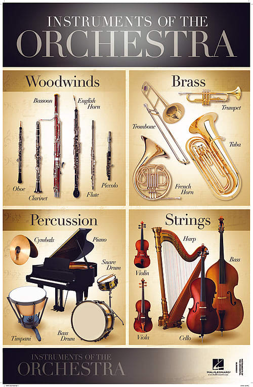 Instruments of the Orchestra - 22 inch. x 34 inch. Poster | Reverb