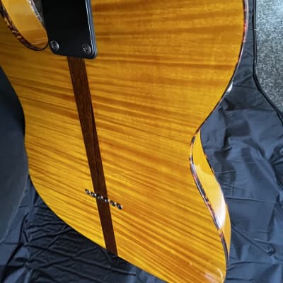 Prince H.S. Anderson Style Custom Prince Telecaster 2009 - | Reverb