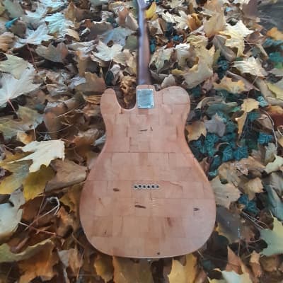 BadBrian Custom Handmade Reclaimed Wood Telecaster | Reverb Canada