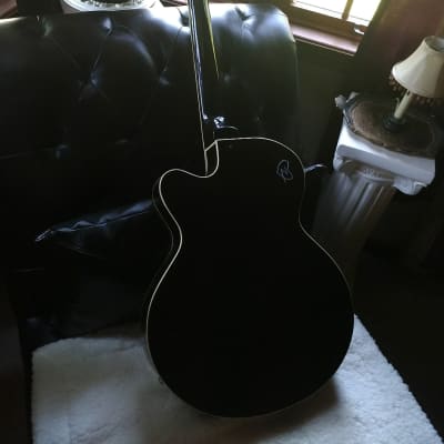 Experimental Fretless 12 String Archtop Guitar | Reverb