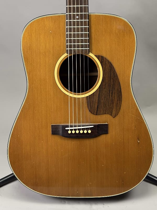 Daion Dreadnought Acoustic Guitar - Natural | Reverb