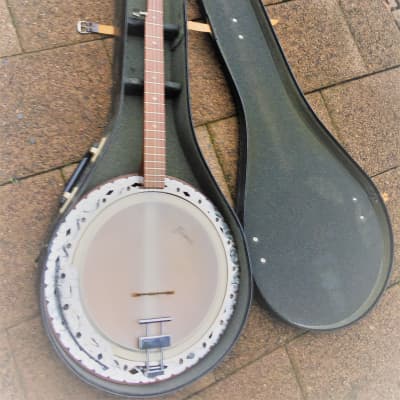 Framus 5-string banjo TEXAN Model 1973 - Brown | Reverb