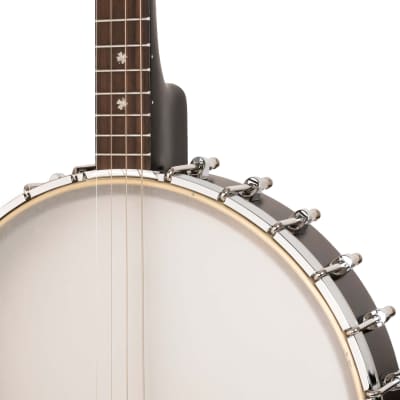 GOLD TONE IT-19 LEFTY Irish Tenor Banjo NEW w/ Bag - 19 Frets | Reverb