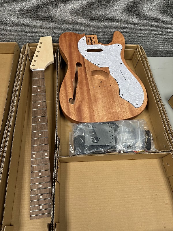 Leo Jaymz Complete Hollow Body Tele Telecaster DIY Guitar Kit | Reverb