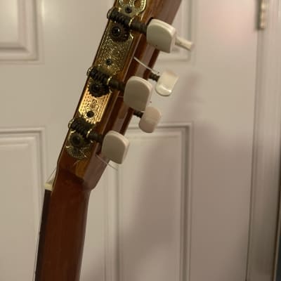 Amada (Strunal) 4655 HG 4/4 Student Classical Guitar - | Reverb