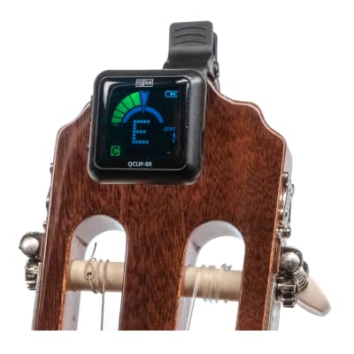 OQAN - AXS01 | Reverb Deutschland