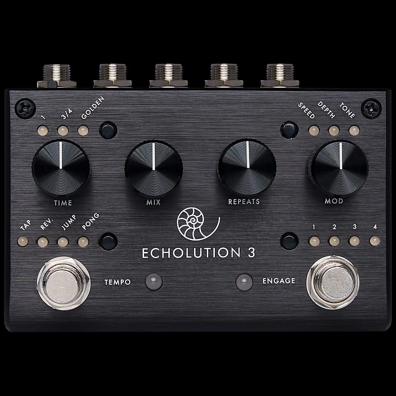 Pigtronix Echolution 3 Black | Reverb