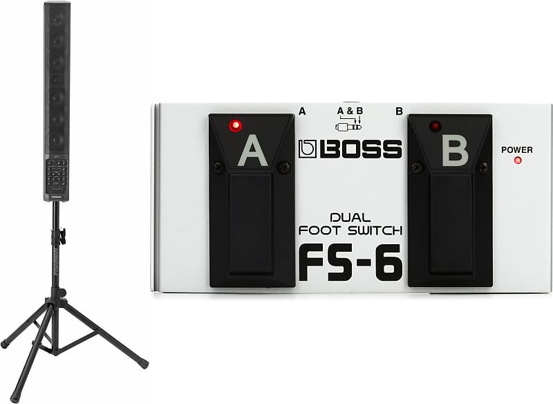 Fishman SA330x Performance Audio System Bundle with Boss FS-6 | Reverb