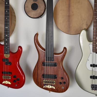 Alembic Orion 5 string fretless bass guitar Walnut Top - | Reverb